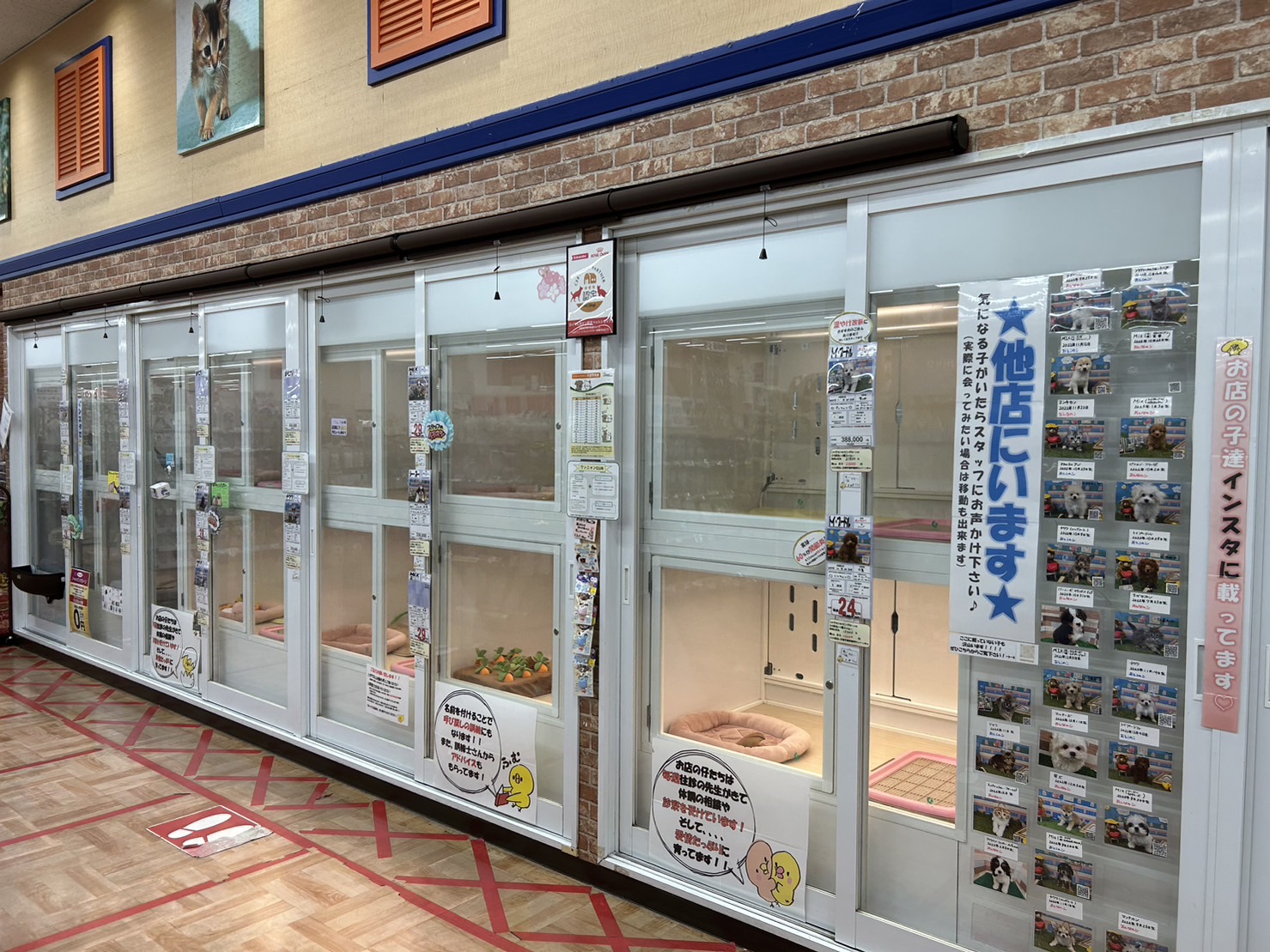 ワンニャンハウス