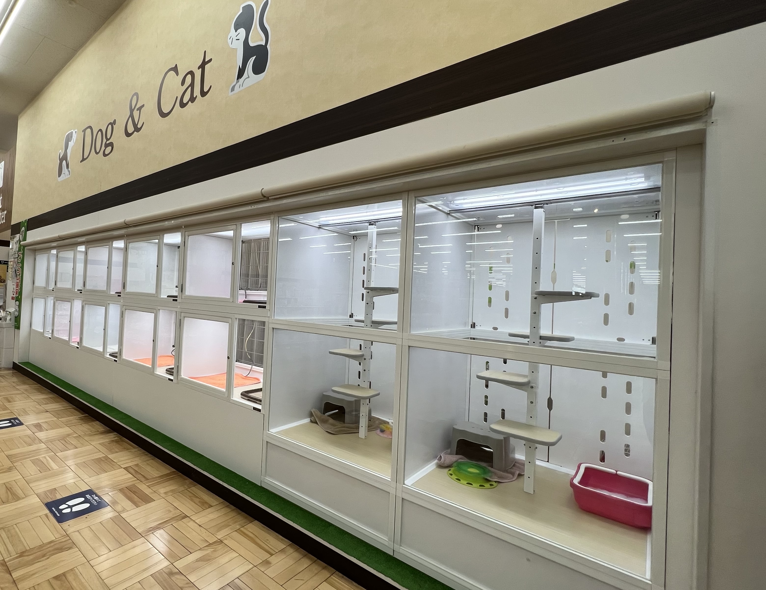 ワンニャンハウス